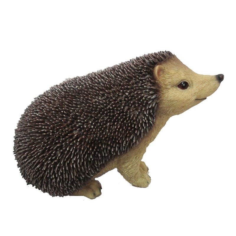 North American Hedgehog