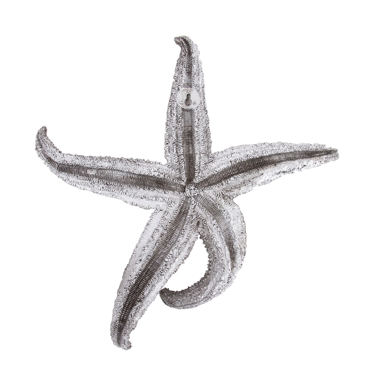 Starfish Pencil Drawing