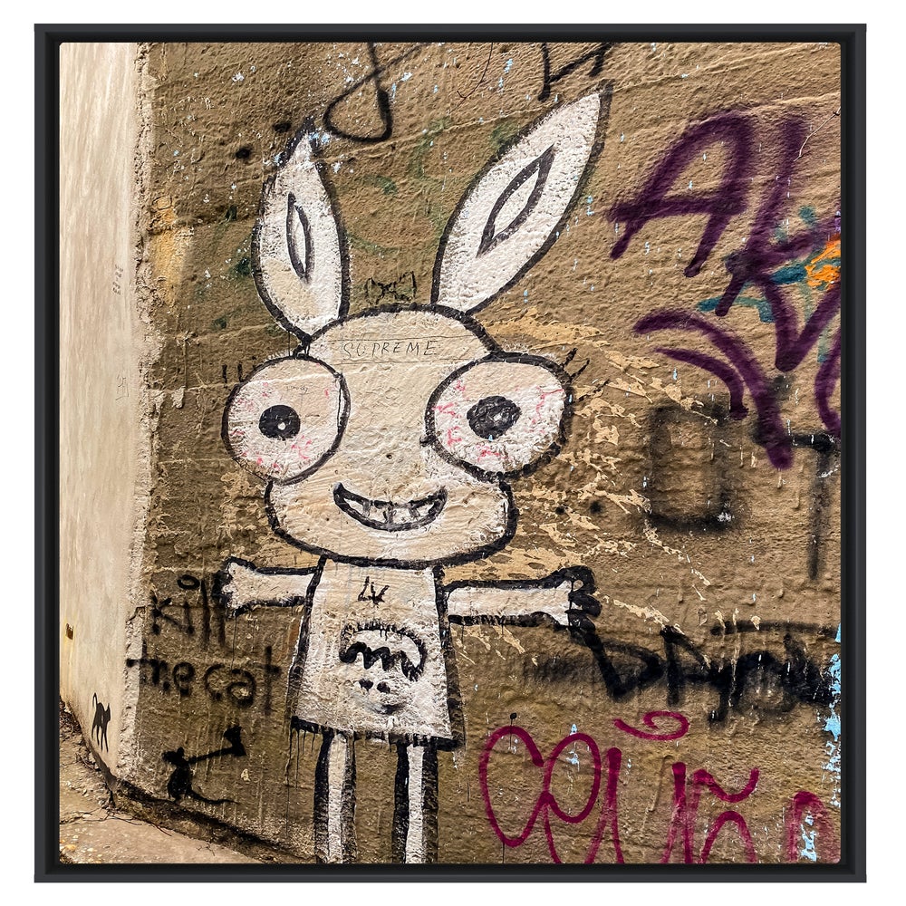 How To Draw A Graffiti Bunny