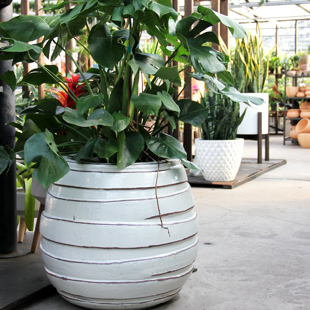 Home | Jackson Pottery