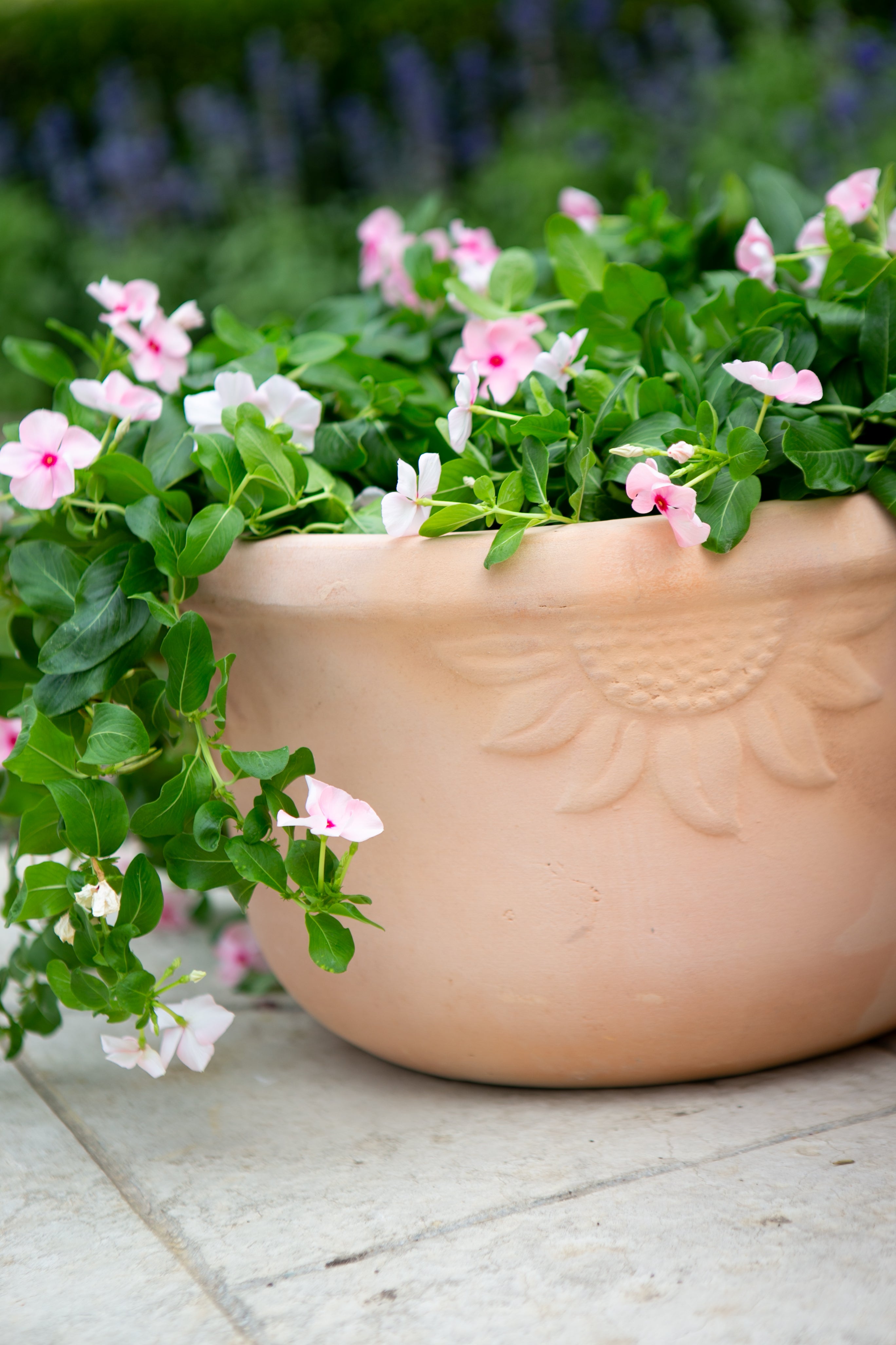 Home | Jackson Pottery