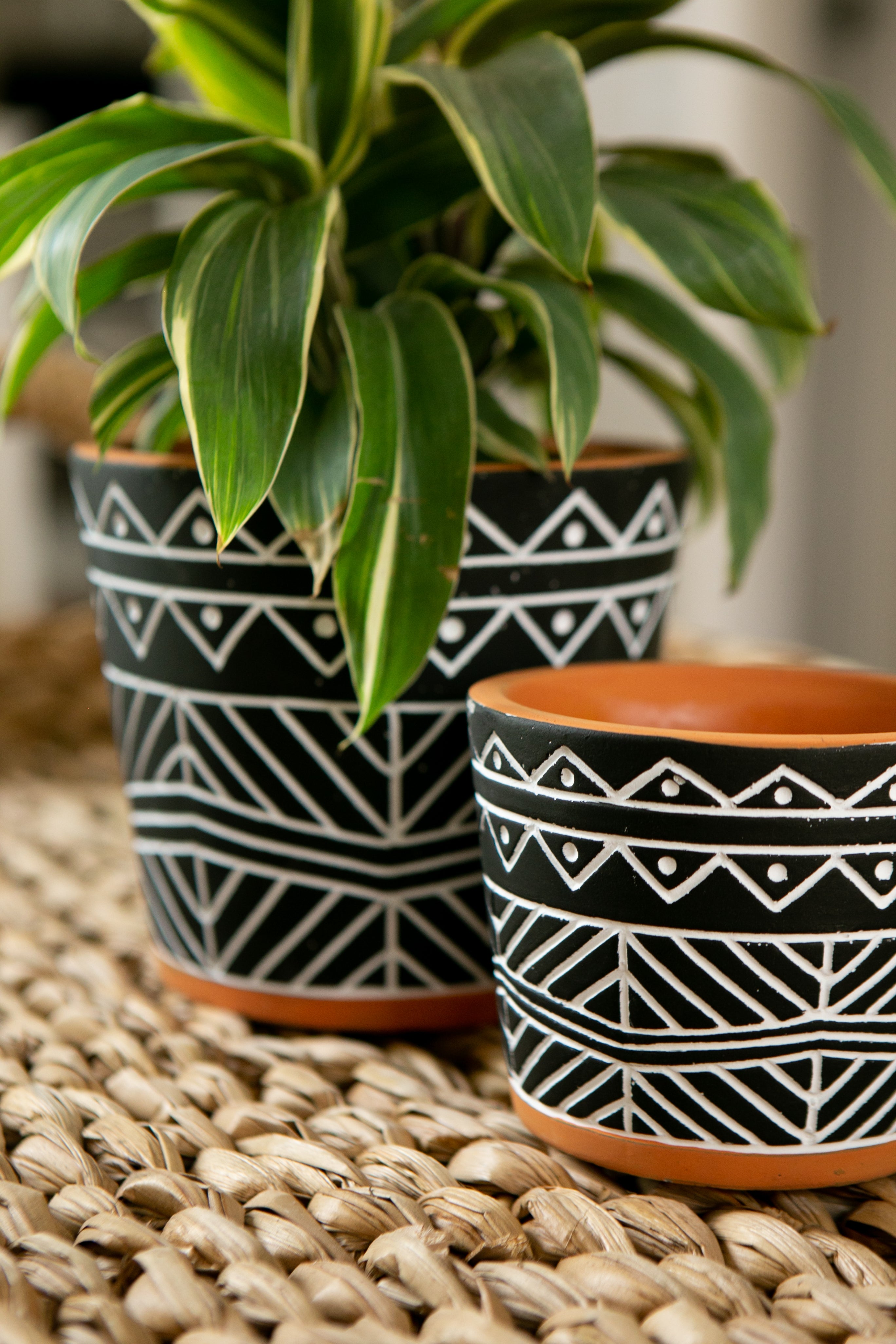 Home | Jackson Pottery