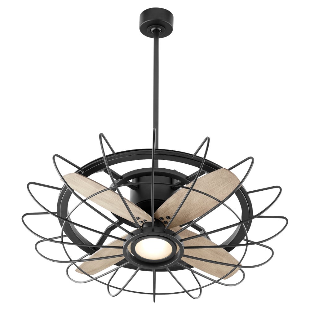 Outdoor Ceiling Fan With Cage
