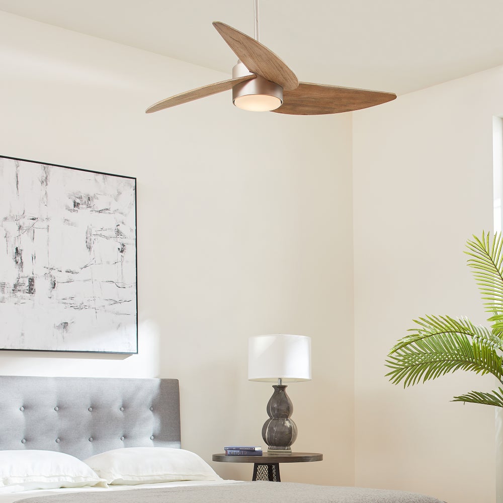 Modern Contemporary Ceiling Fan | Shelly Lighting