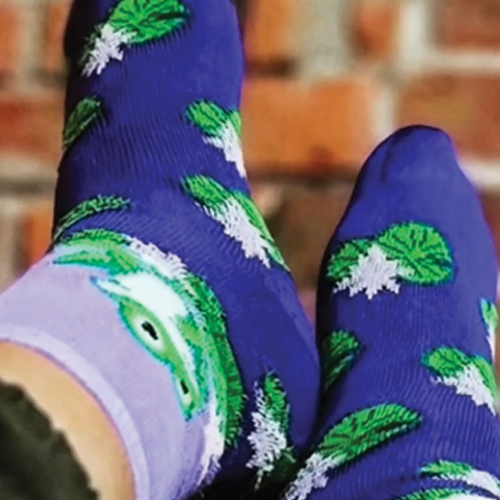 Foozy's Socks | SDS Distributors Ltd.